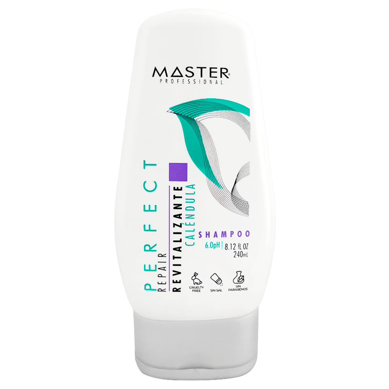 SHAMPOO MASTER*240ML REVITALIZANTE